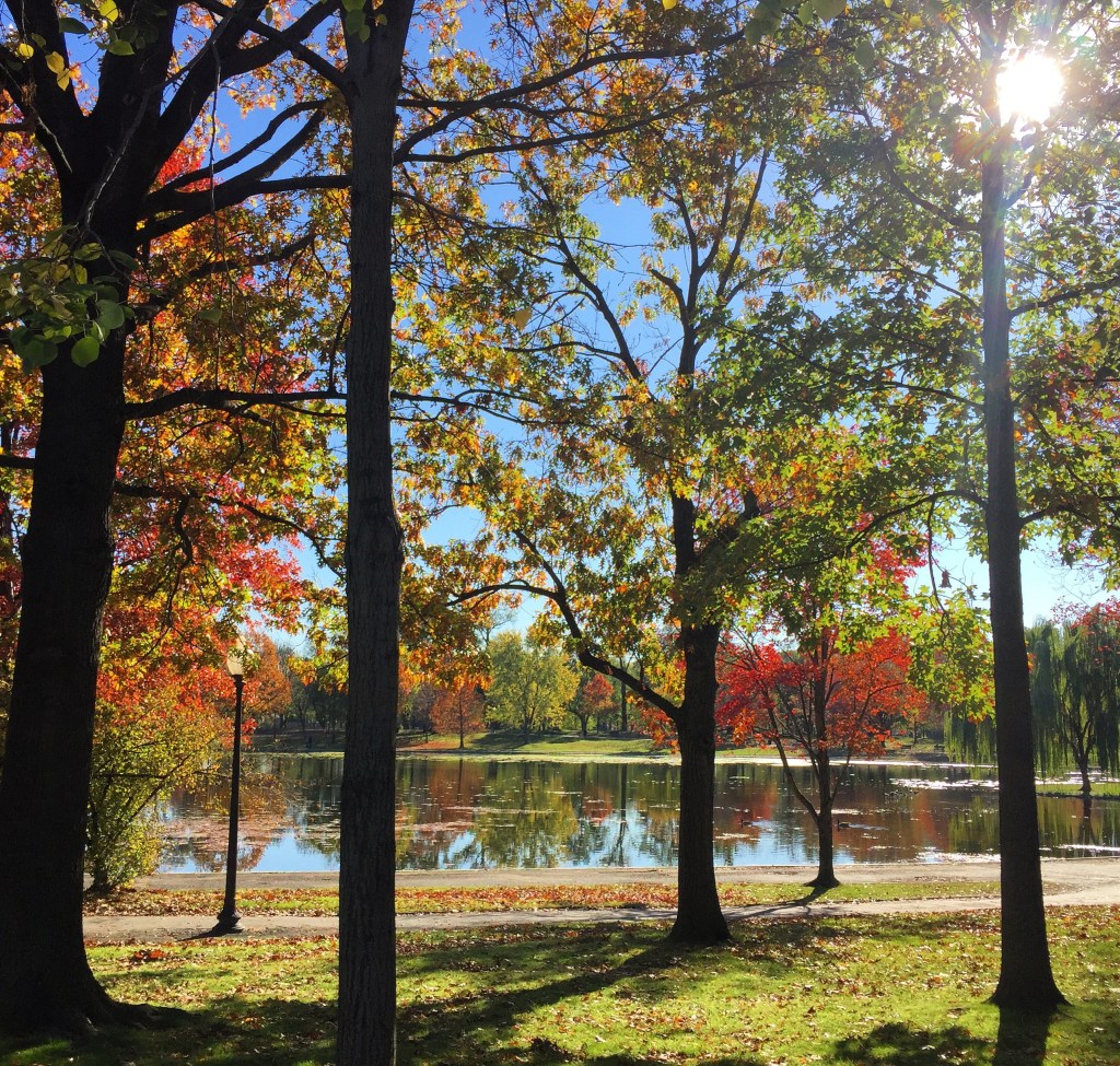 Best Running Routes in Washington, DC | athlettuce