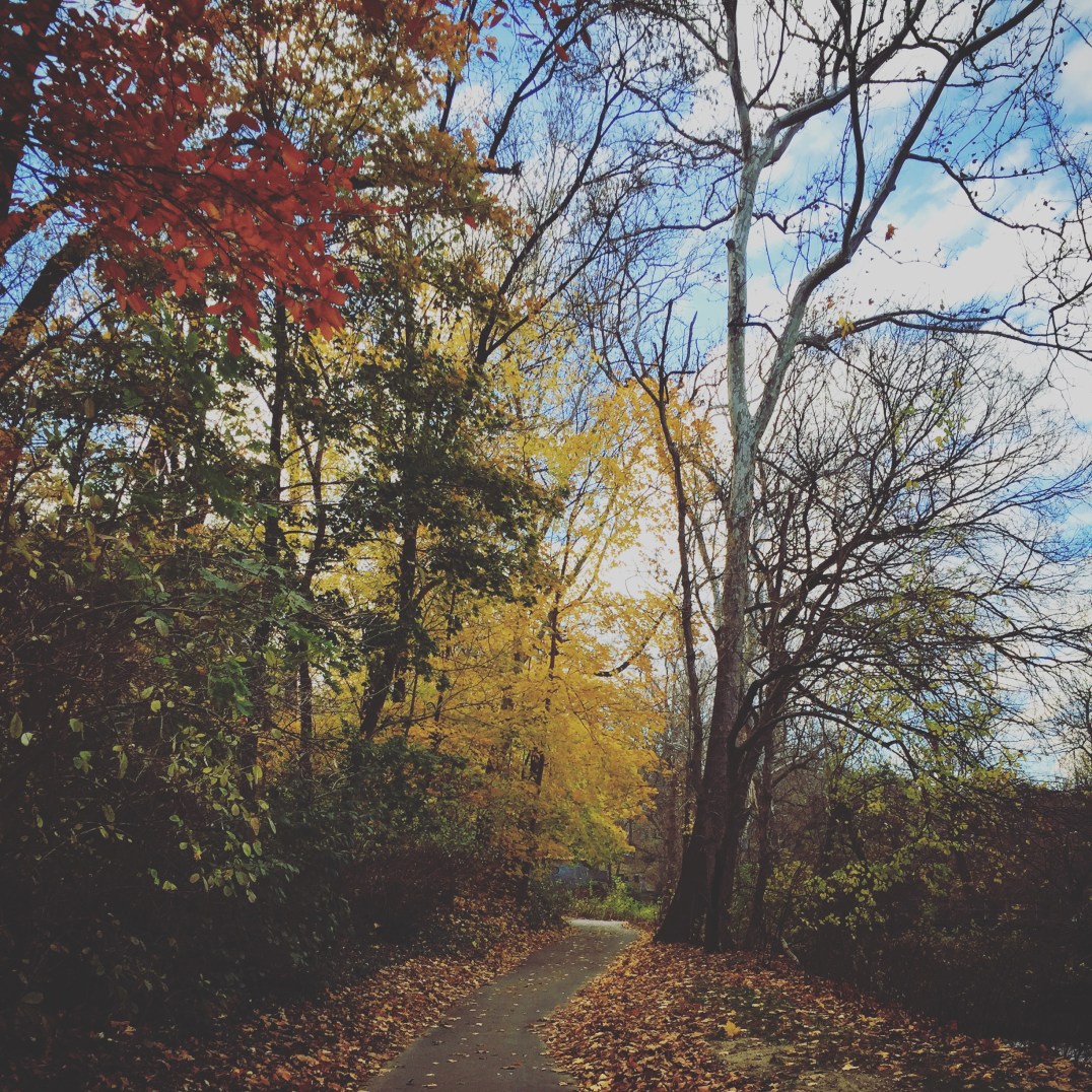Best Running Routes in Washington, DC | athlettuce